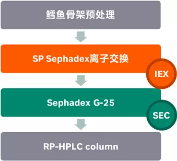 鳕鱼骨架酶解物中免疫调节肽的纯化与鉴定 | Cytiva
