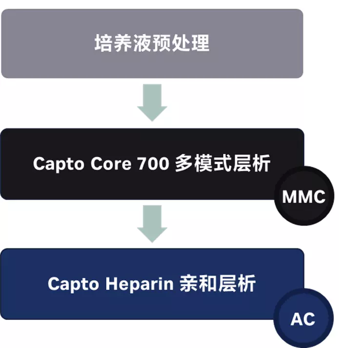 CHO-S培养液中外泌体的纯化 | Cytiva
