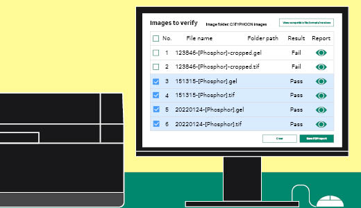 Image integrity checker | Cytiva