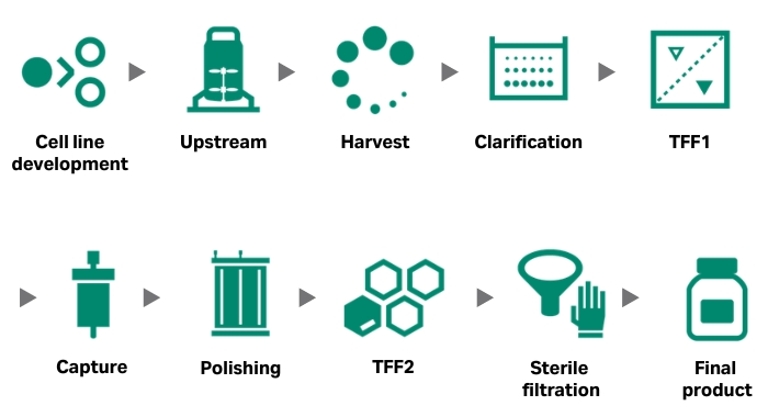 开发/完善您的AAV生产流程-病毒载体生产解决方案-产品/技术-细胞/基因治疗-思拓凡官网 | Cytiva