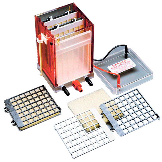 蛋白质印迹_产品与技术_蛋白质研究_思拓凡官网 | Cytiva