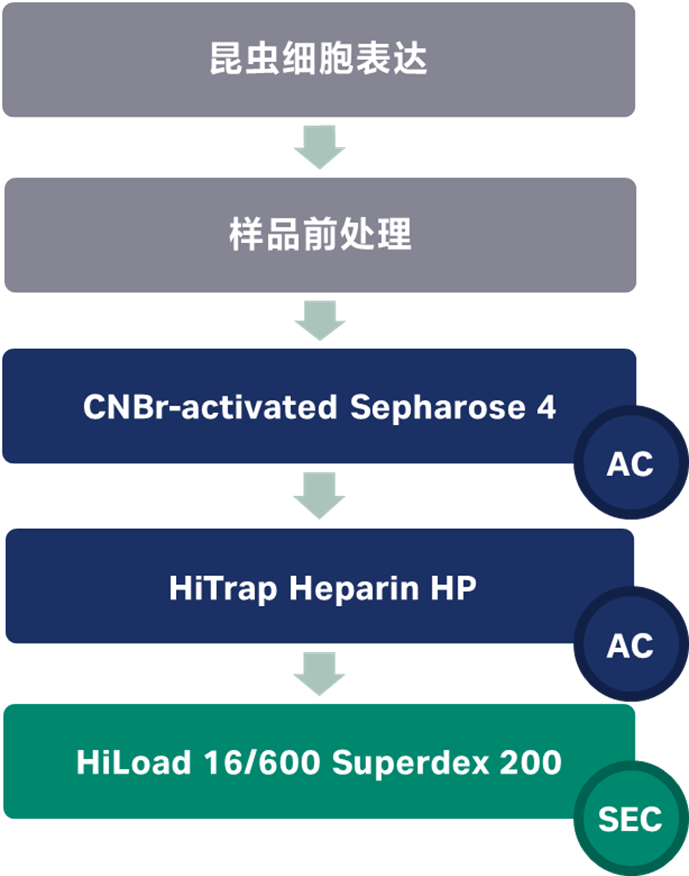 果蝇中Piwi蛋白的晶体结构解析 | Cytiva