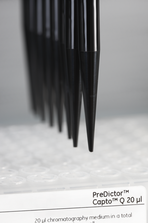 PreDictor Capto Q | Cytiva