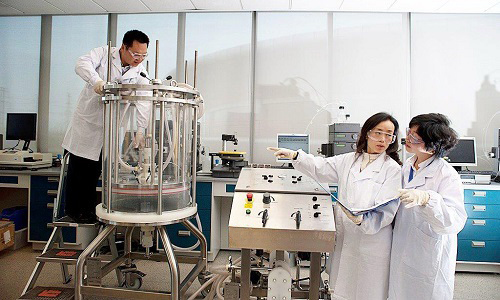 Large-scale column packing (COL1) | Cytiva