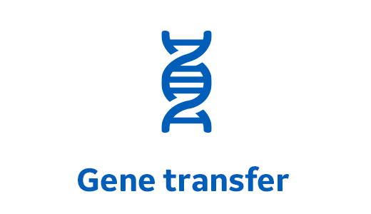 Sefia Cell Processing System | Cytiva