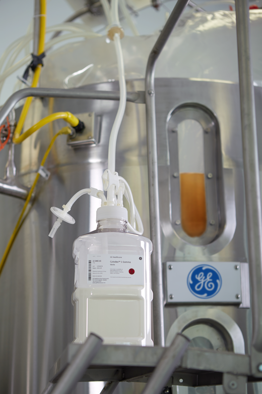 Cytodex 3 Gamma(无菌干粉)-微载体-细胞培养/发酵工艺-思拓凡官网 | Cytiva