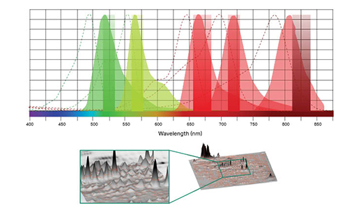 Amersham Typhoon™ 激光扫描成像仪-荧光成像-思拓凡官网 | Cytiva