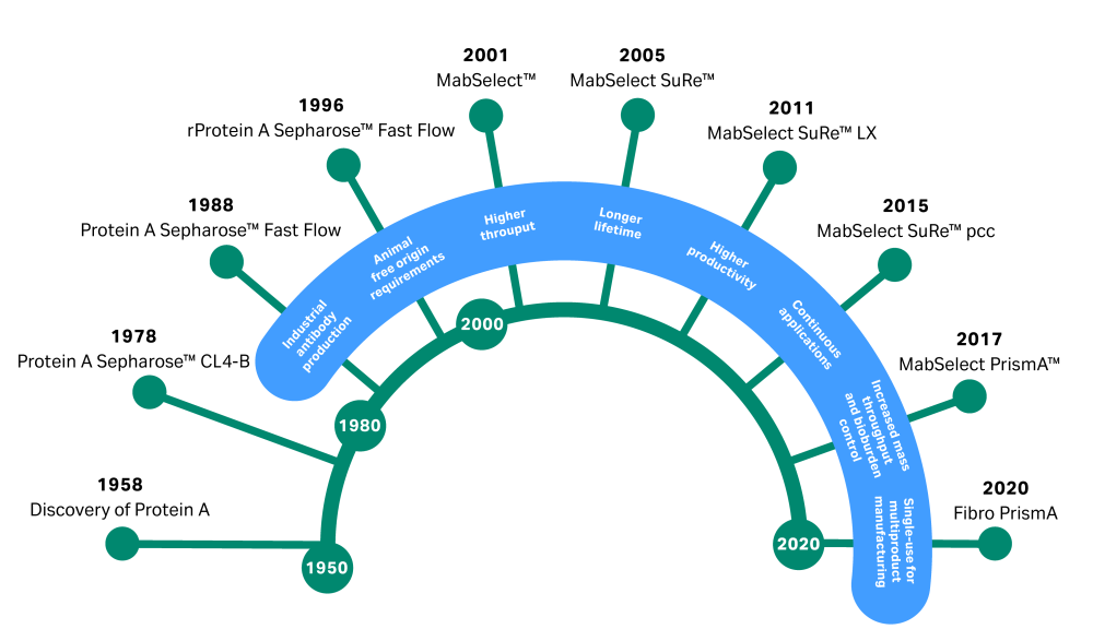 MabSelect™_蛋白 A 亲和层析填料_思拓凡官网 | Cytiva