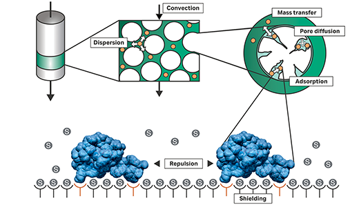 层析机理建模/机械建模-GoSilico™建模软件-机理模型-思拓凡官网 | Cytiva