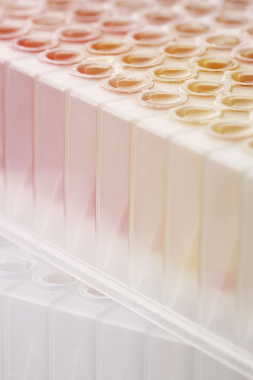 PreDictor Capto Q | Cytiva