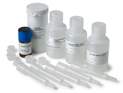 GST Bulk Kit | Cytiva