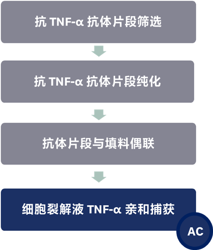 肿瘤坏死因子（TNF-α）纯化-噬菌体展示技术-层析纯化-思拓凡官网 | Cytiva
