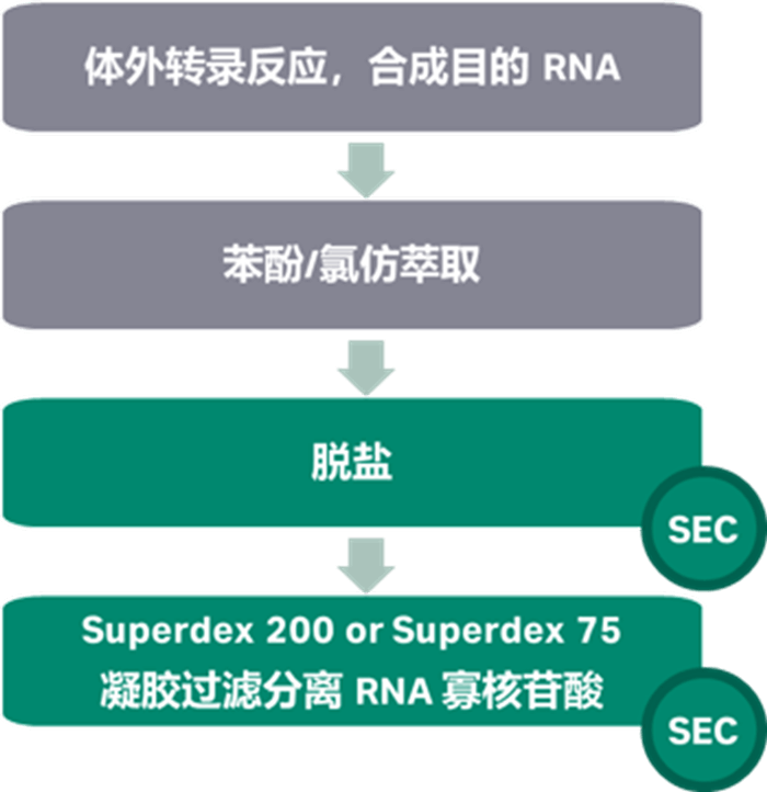 凝胶过滤层析纯化和鉴定体外转录的RNA-FPLC纯化-思拓凡官网 | Cytiva